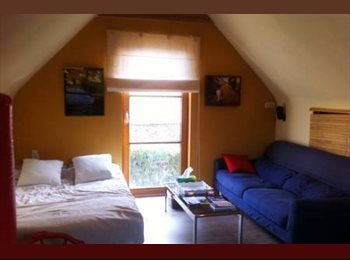 Colocation, Colocataire & Kot à Louer en Belgique - Appartager.be